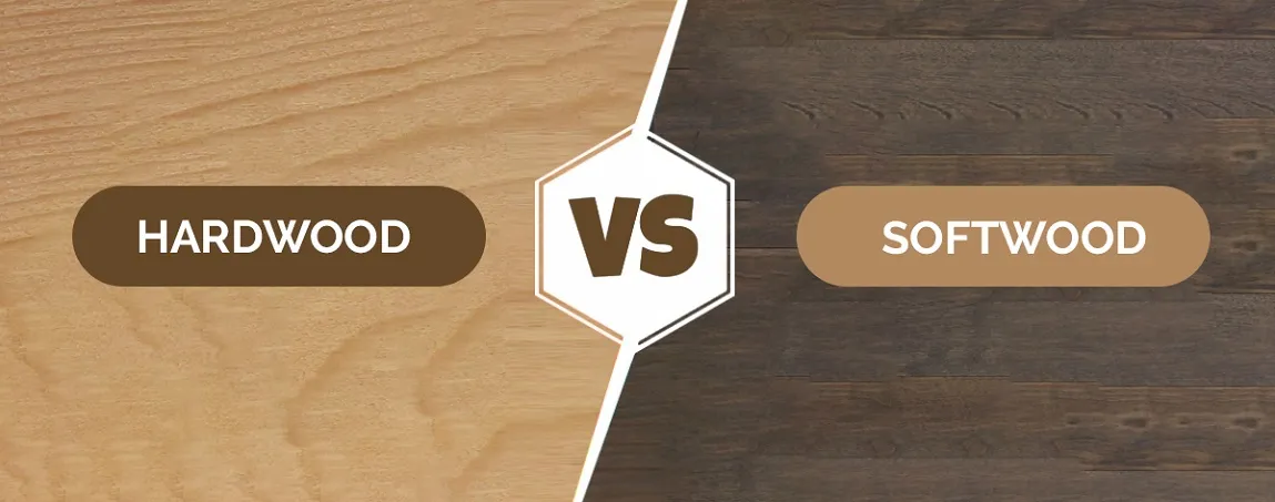 Hardwood Plywood vs. Softwood: A Comprehensive Comparison