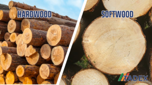 Hardwood Plywood vs. Softwood: A Comprehensive Comparison
